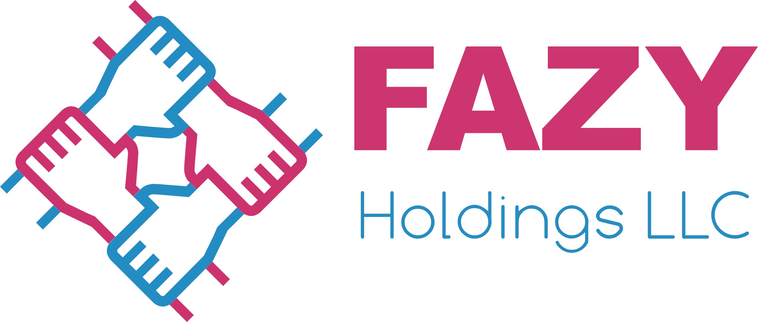 FAZY Holdings LLC — Where Logic Meets Innovation